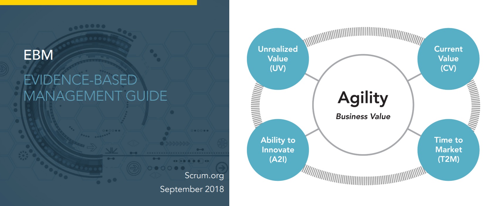 EBM – Evidence Based Management Guide – Jorge Horácio "Kotick" Audy